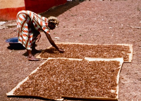 Liberia West Africa | Wandering through Time and Place