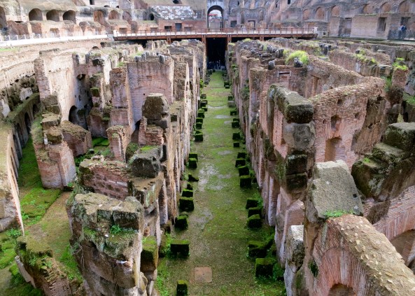 Rome’s Colosseum… Where Hippos and Rhinos Once Fought | Wandering ...