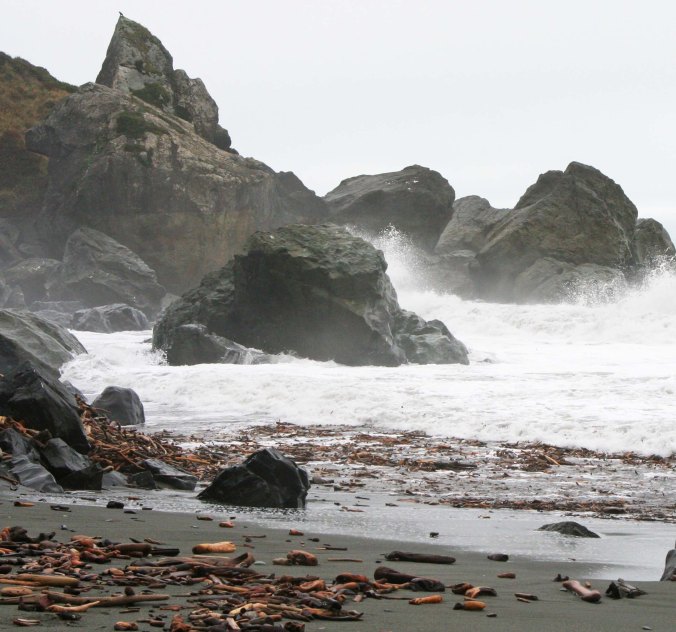 The Redwoods… A Photographic Journey through America’s National Parks ...