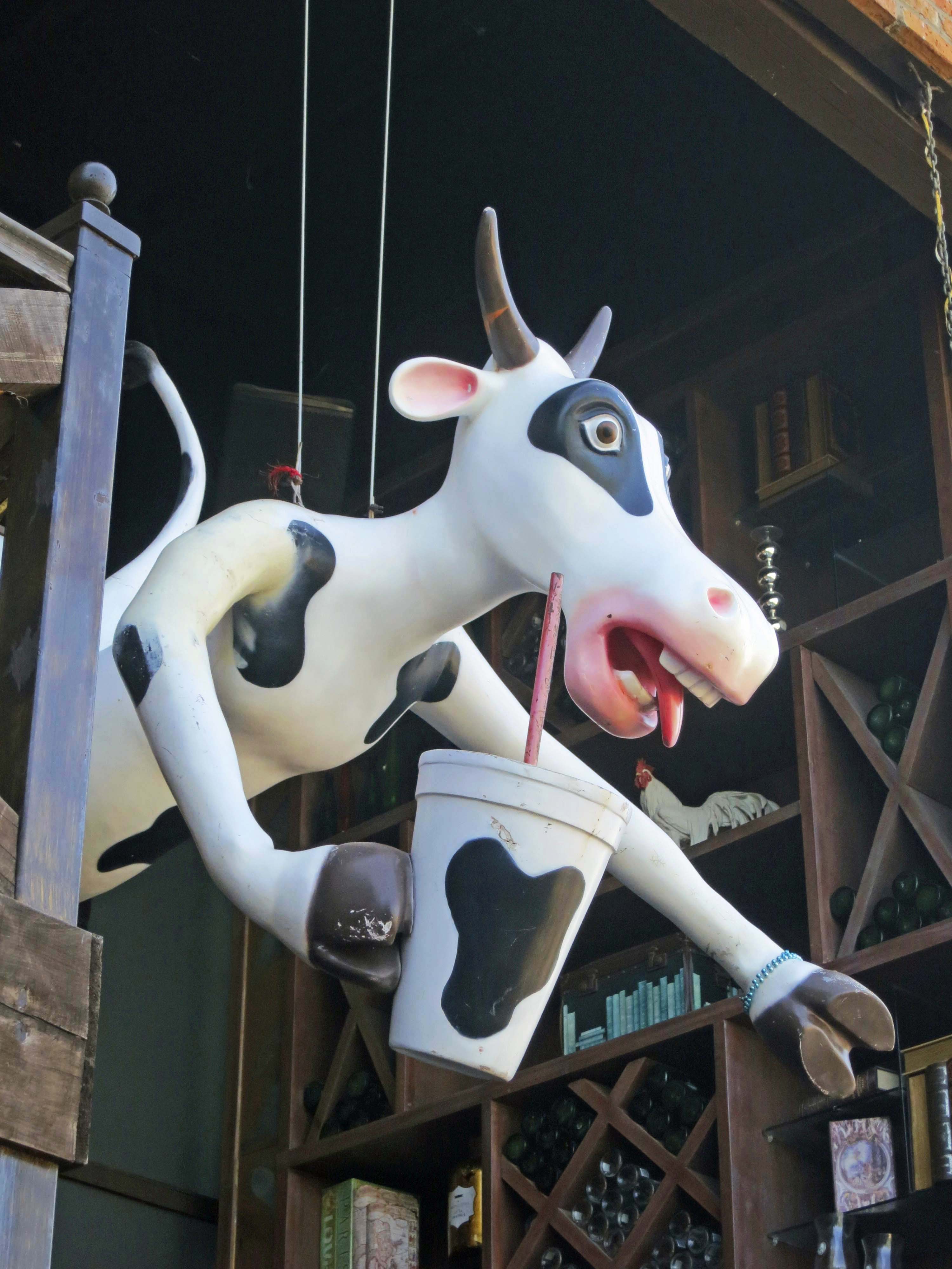 12. Flying cow in Puerto Vallarta | Wandering through Time and Place