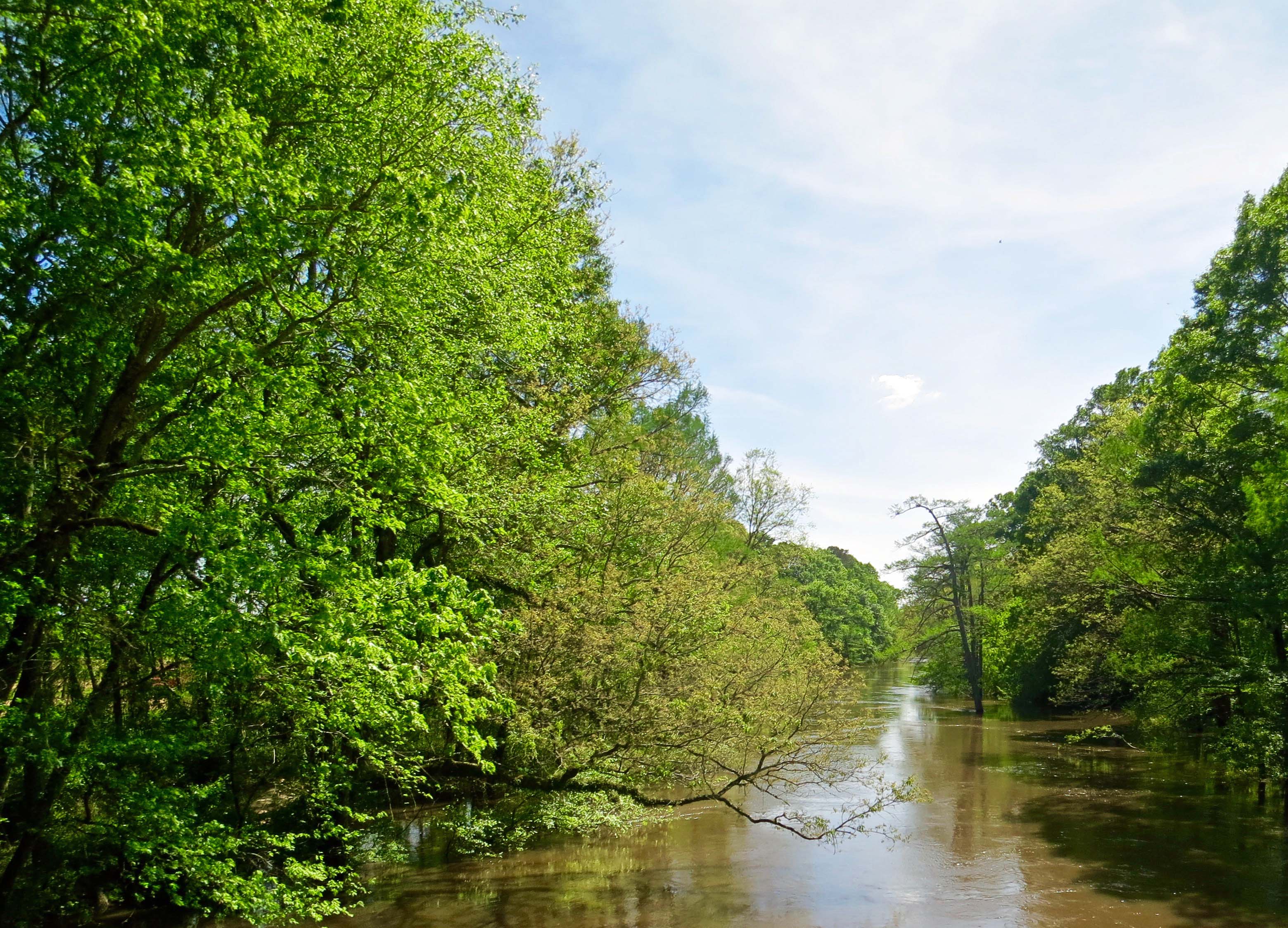 Pearl River in Mississippi | Wandering through Time and Place