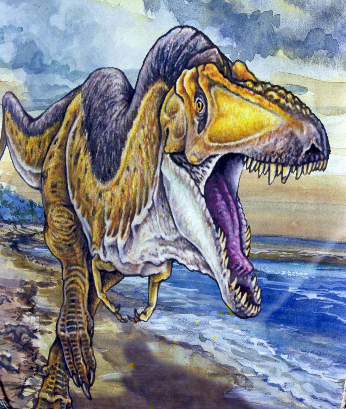 From the Sublime to the Weird… Burning Man Murals and Paintings ...