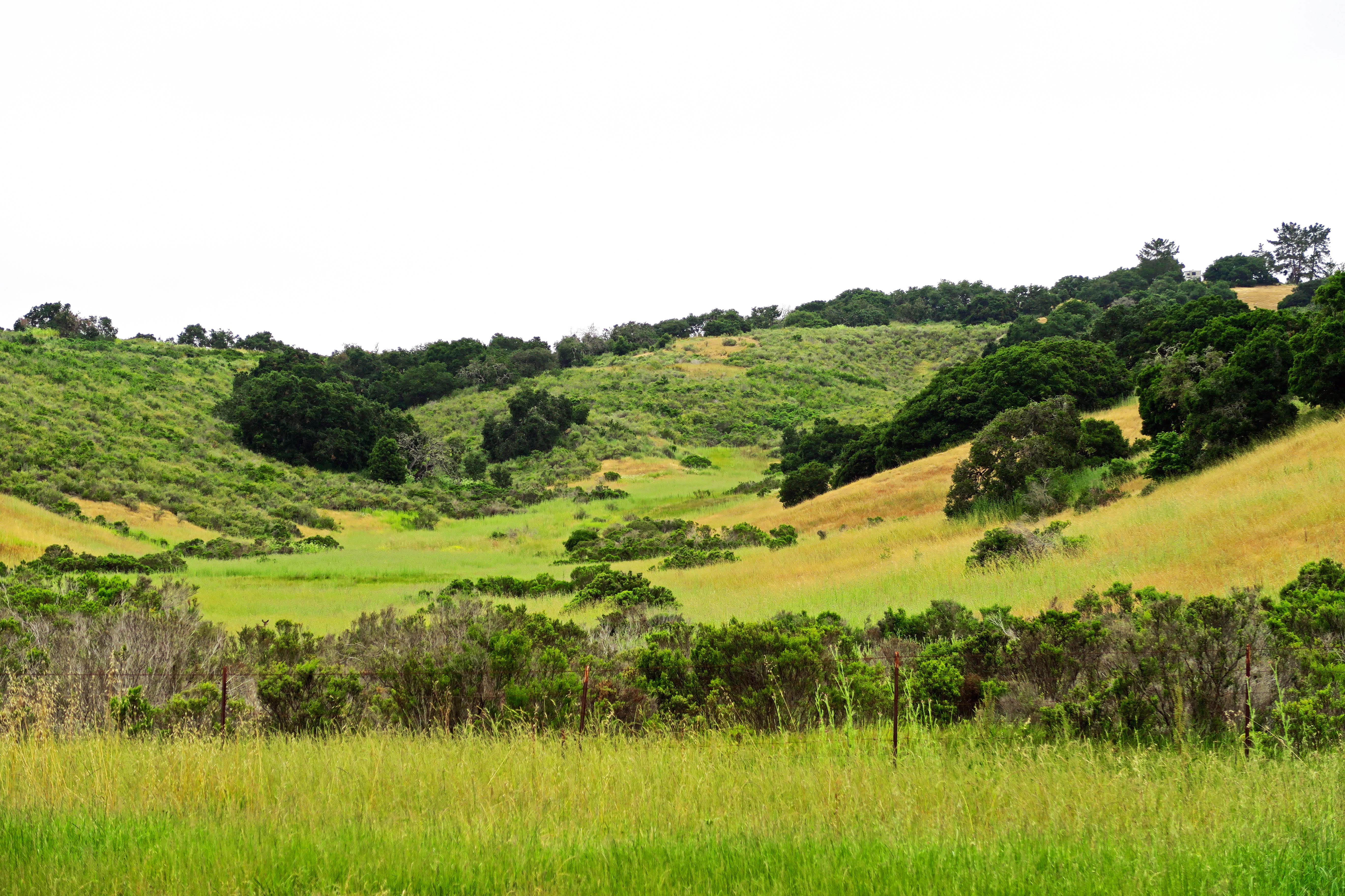 Laguna Seca Campground | Wandering through Time and Place