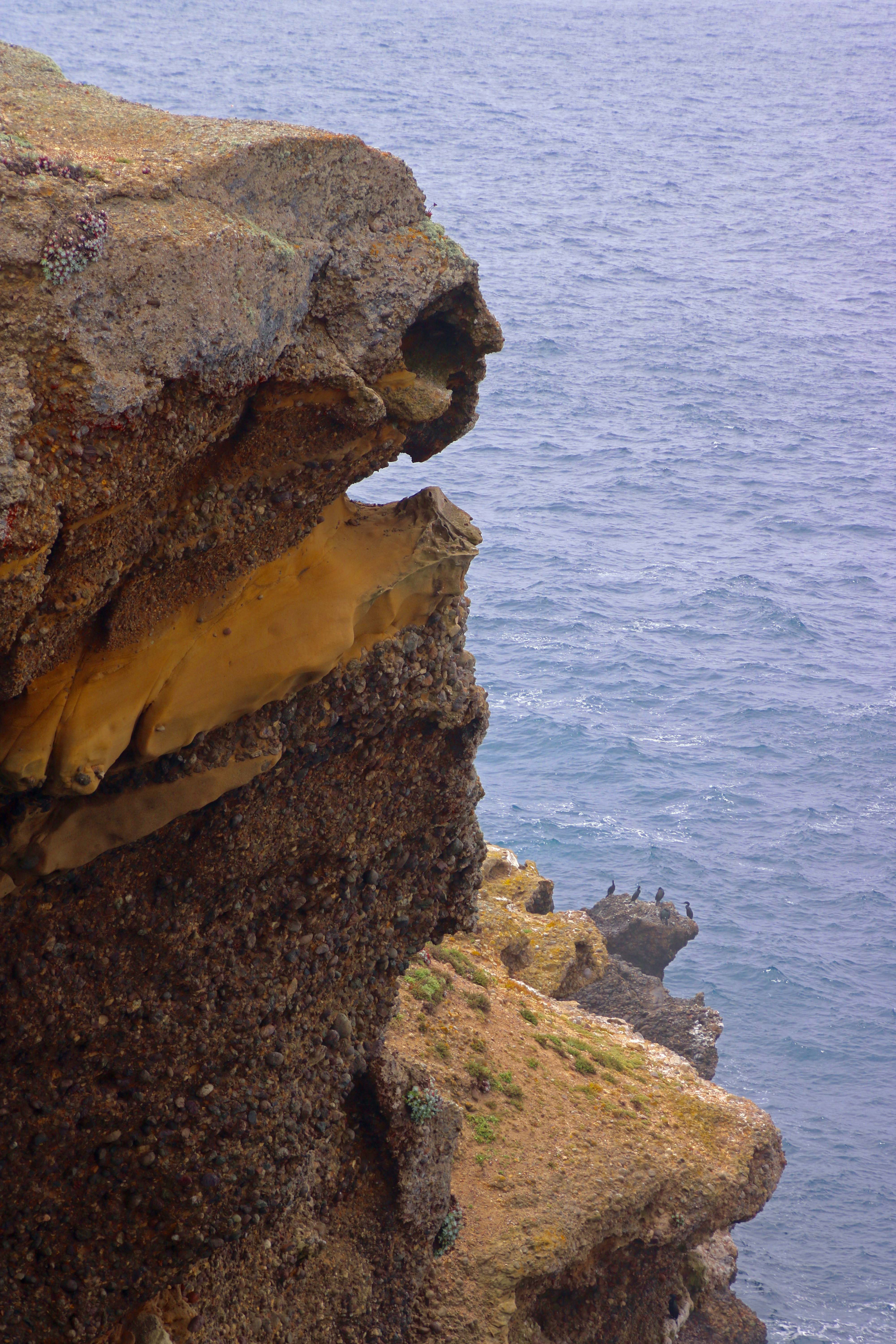 Rock scculpture along Sea Lion Point Trail at Pt. Lobos | Wandering ...