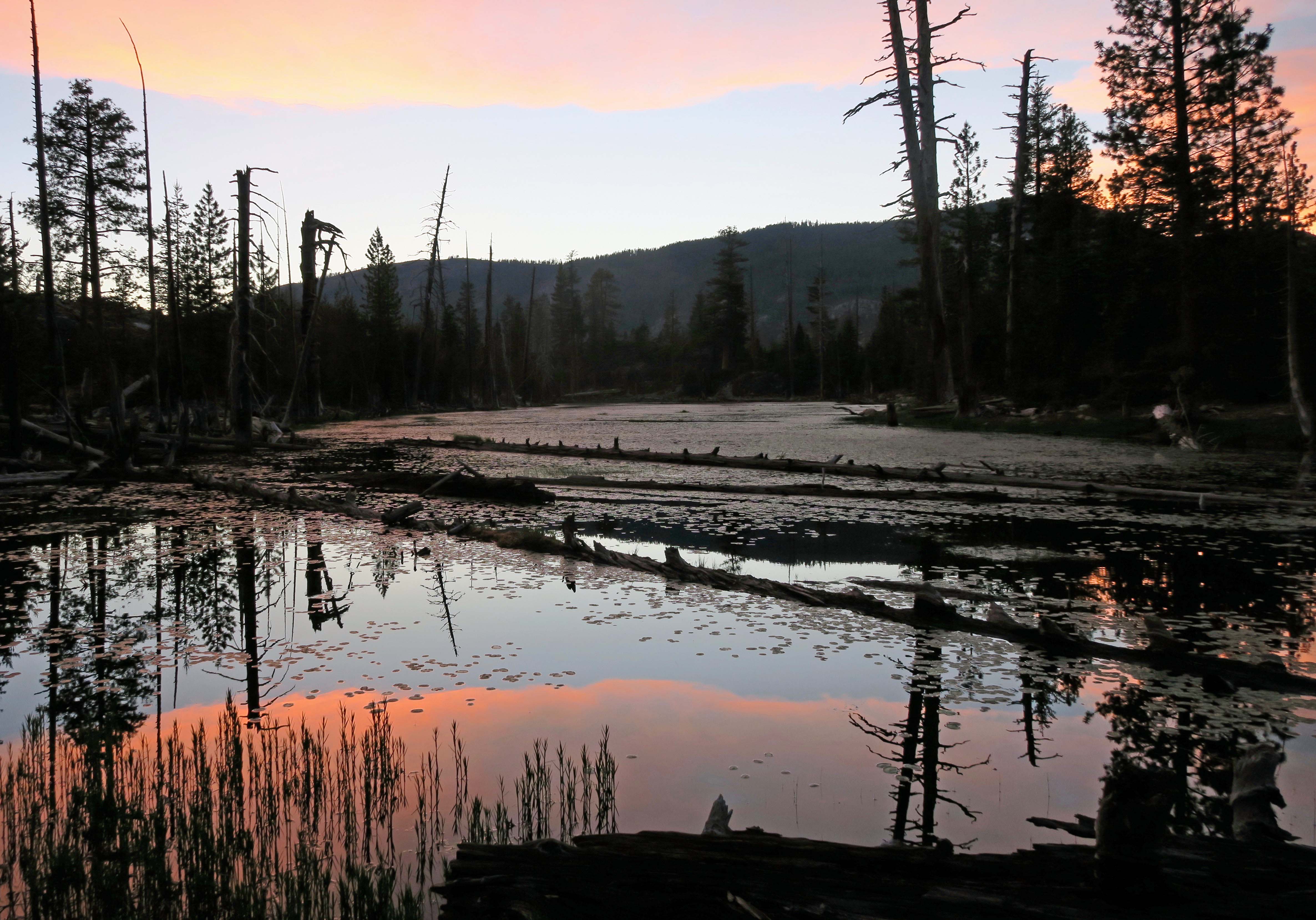 Sunset near Fordyce Creek in the northern Sierras of California ...