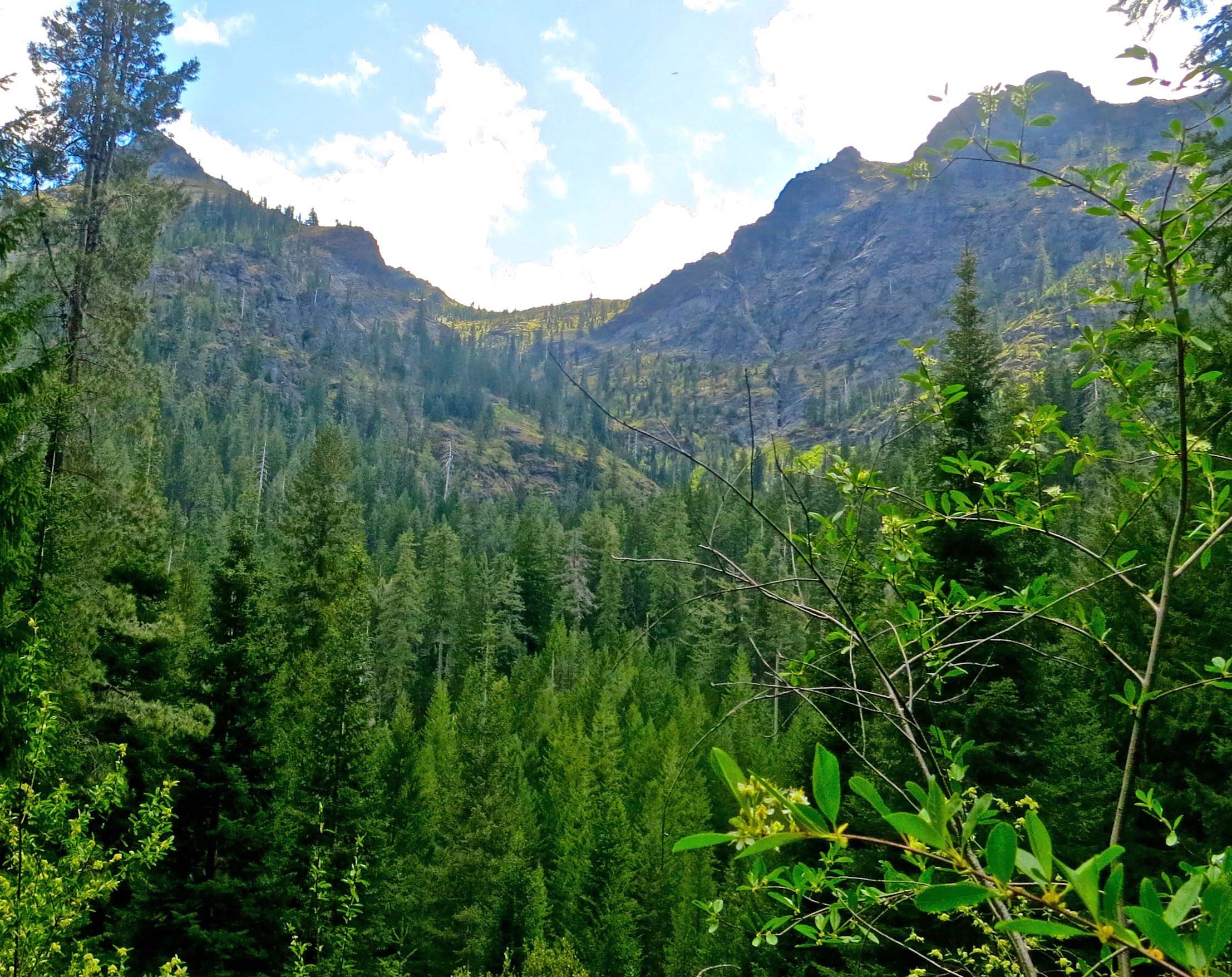 An Ancient Forest of Giant Trees—and Bigfoot… The Red Butte Wilderness ...