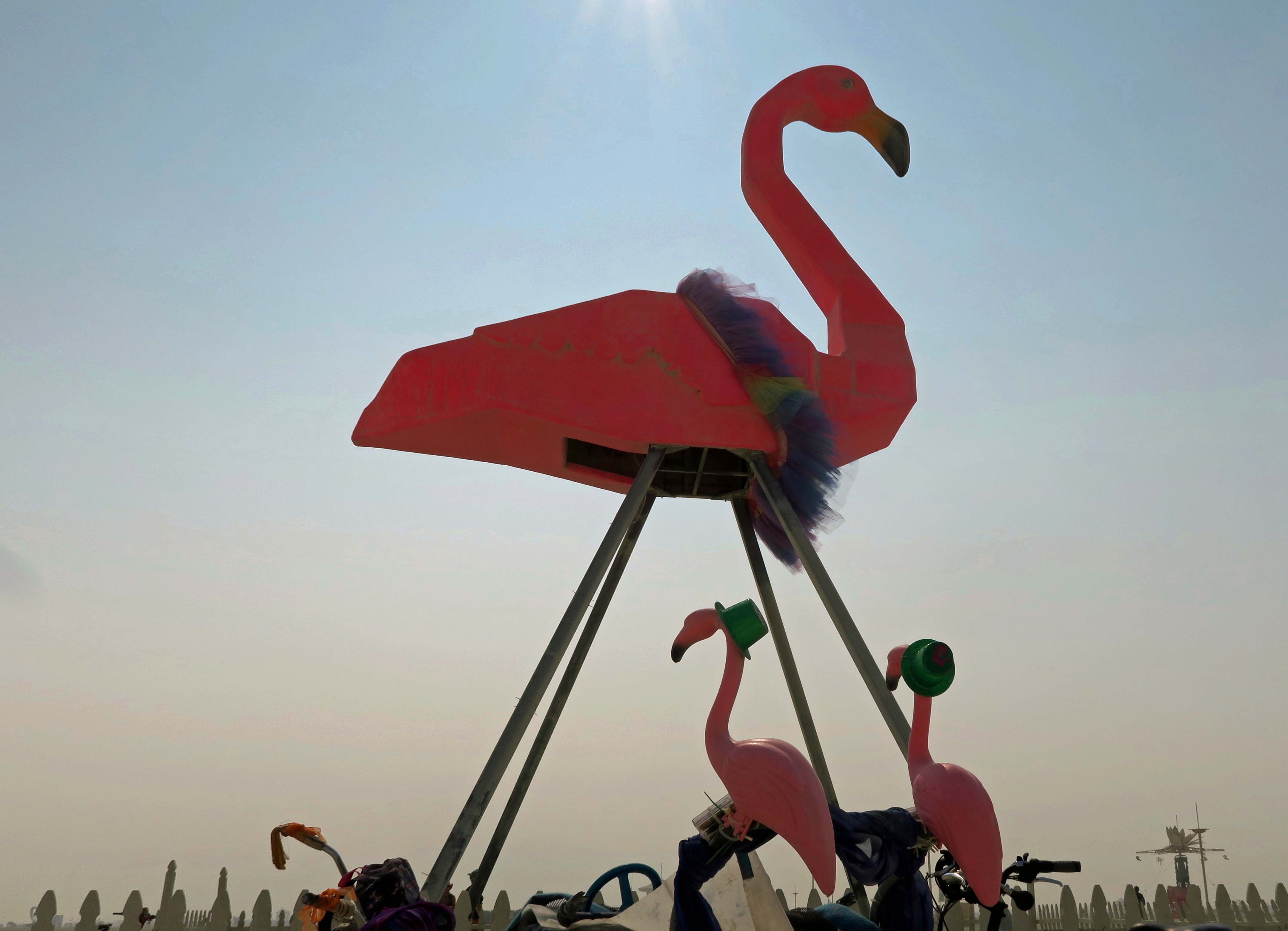 Flamingos visit Phoenicopterus Rex at Burning Man 2017 | Wandering ...