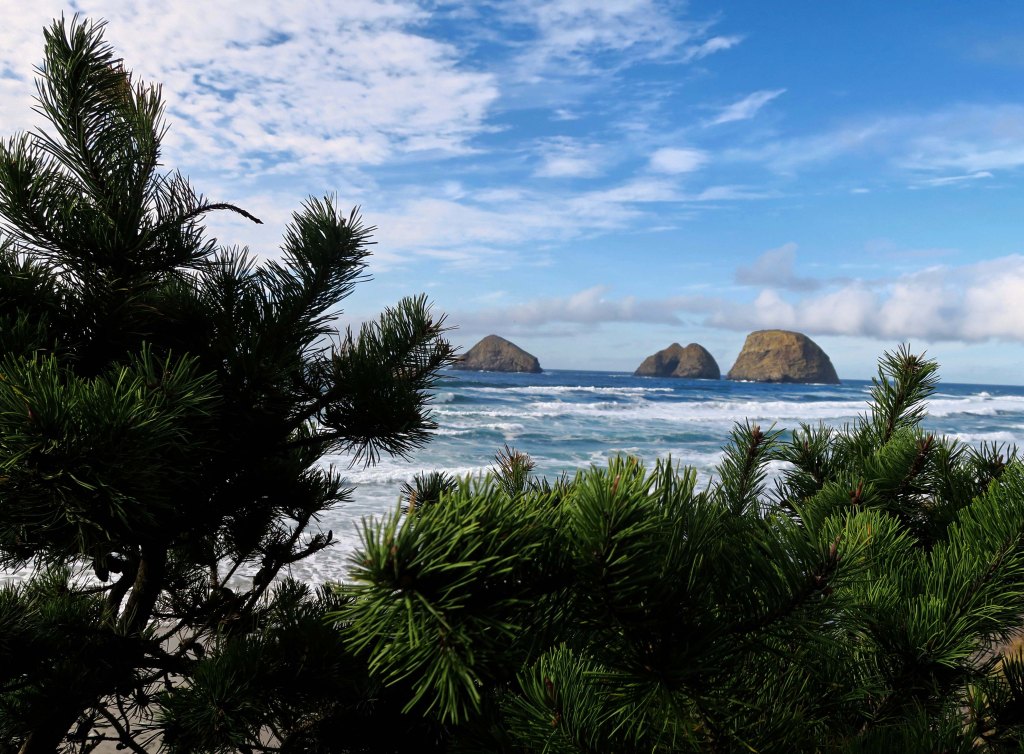 The Cape Meares Lighthouse, an Octopus Tree, and the Three Rock Arches ...
