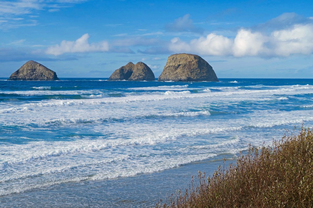 The Cape Meares Lighthouse, an Octopus Tree, and the Three Rock Arches ...