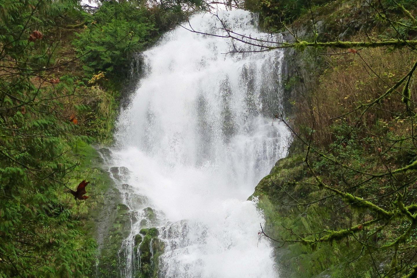 Munson Creek Falls | Wandering through Time and Place