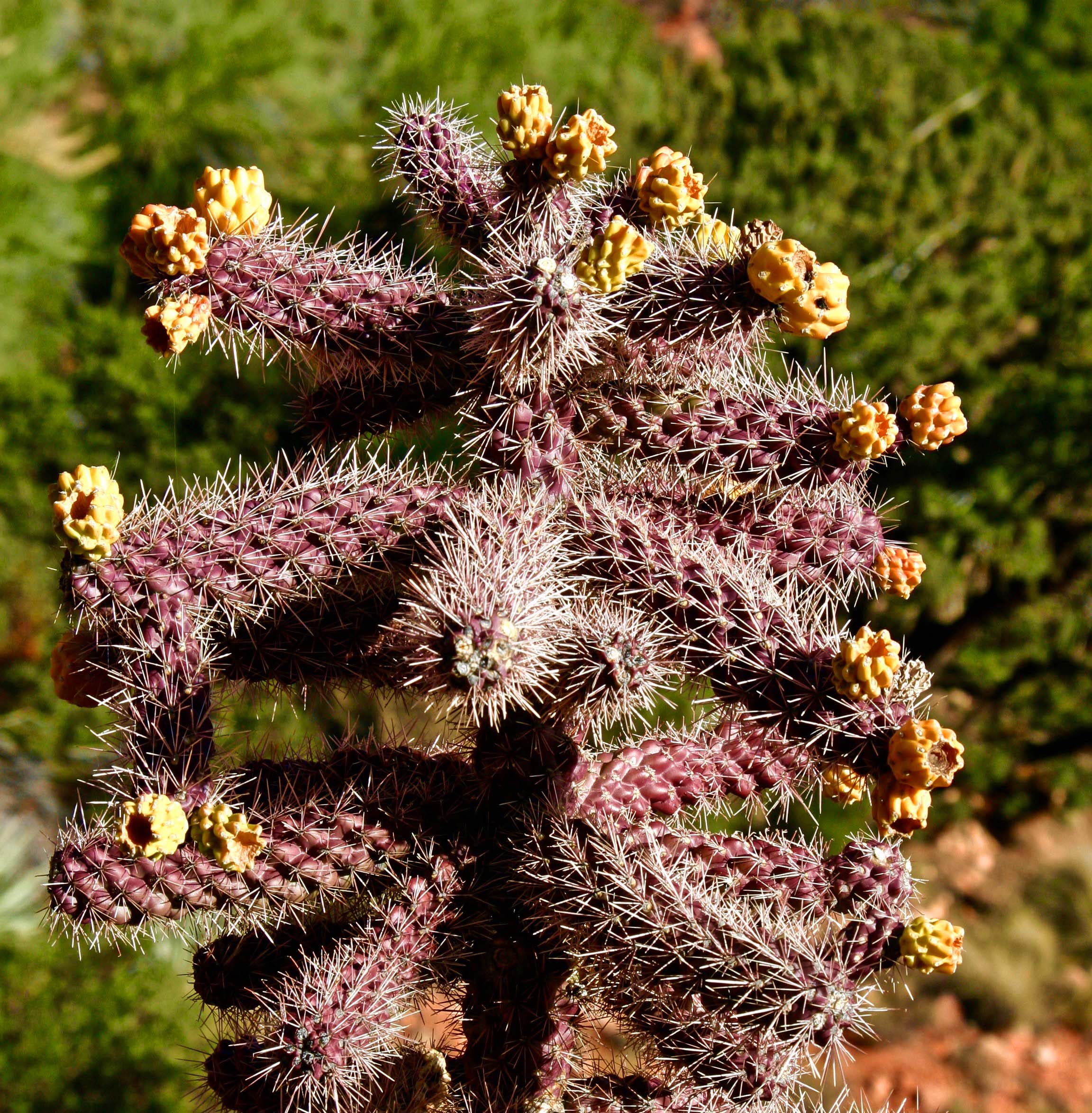 The Incredible Red Rock Country of Sedona— and a Chapel… Part 1 ...
