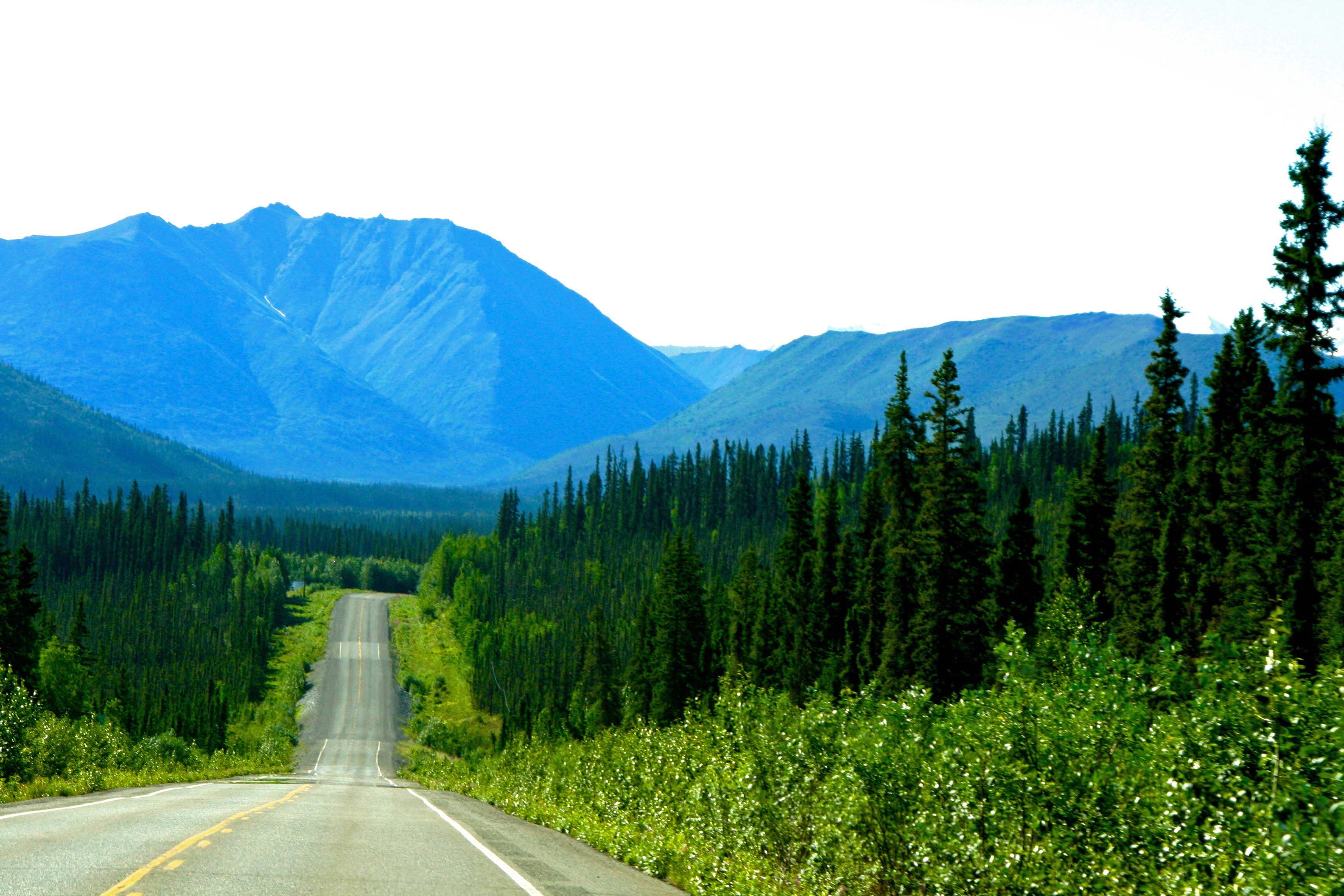 From the Canadian Border to Anchorage… Alaska Highways | Wandering ...