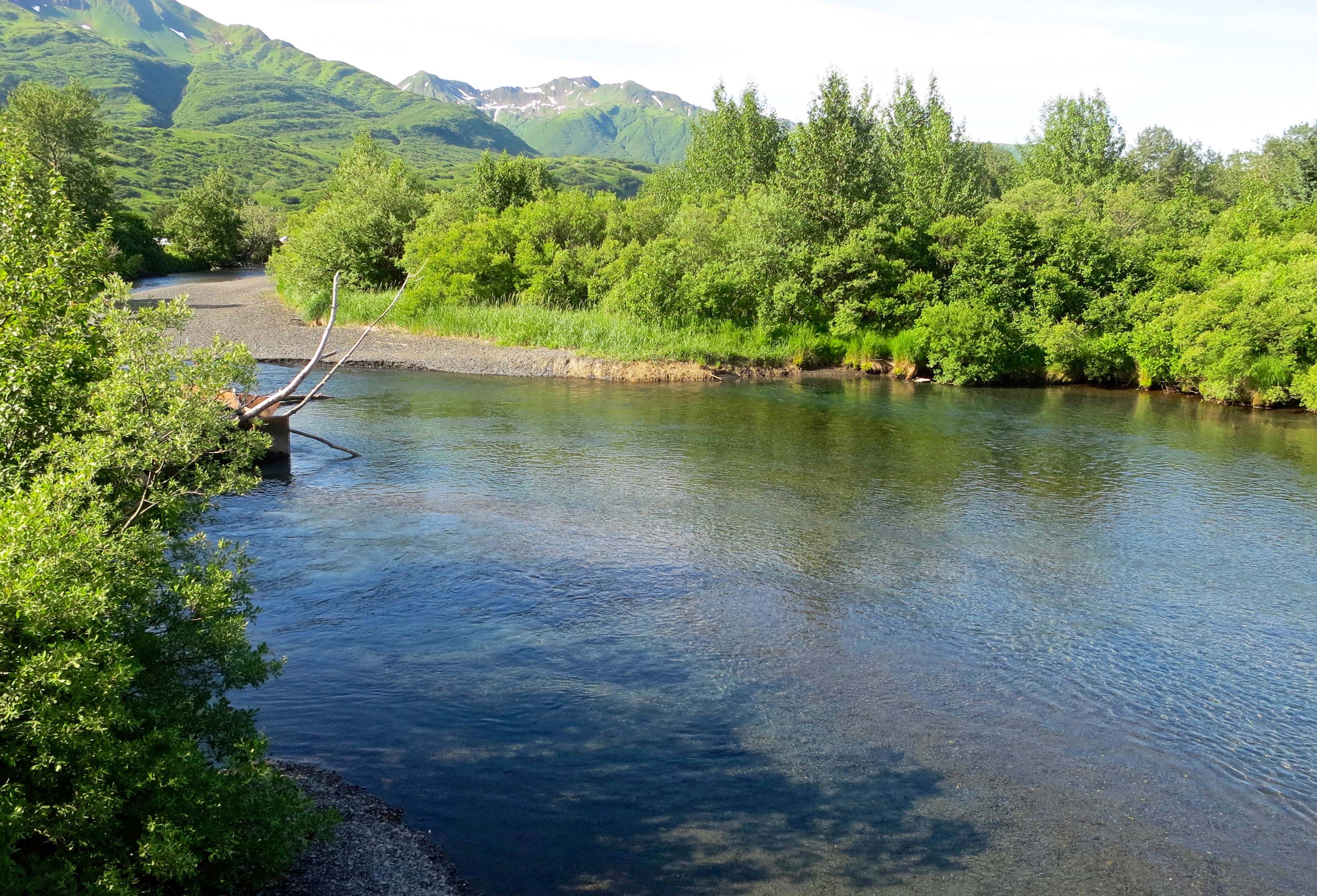 Out and About on Kodiak Island… The Last of the Alaska Series ...