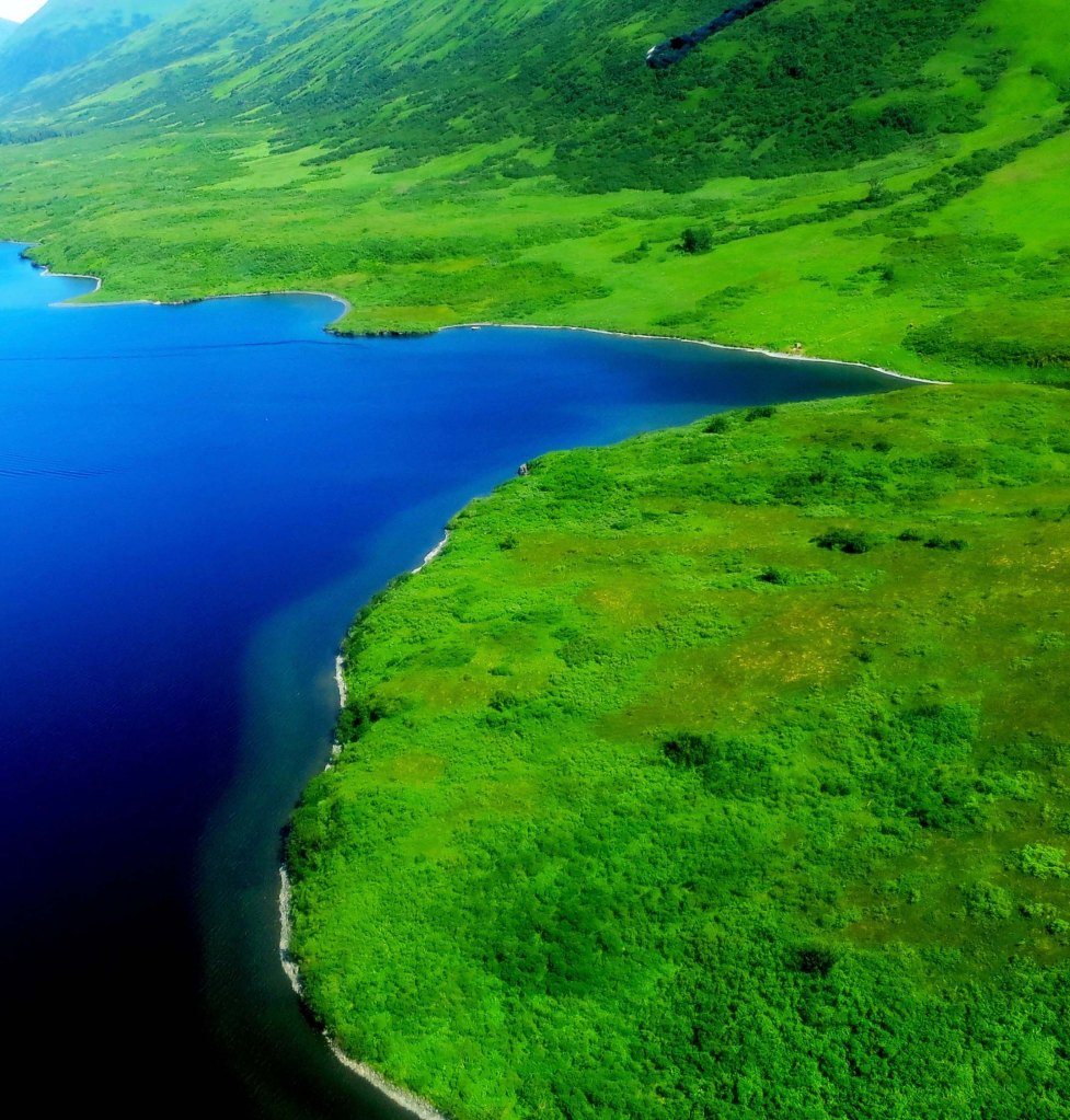 Kodiak Island… Where the Bears Grow BIG… Alaska | Wandering through ...