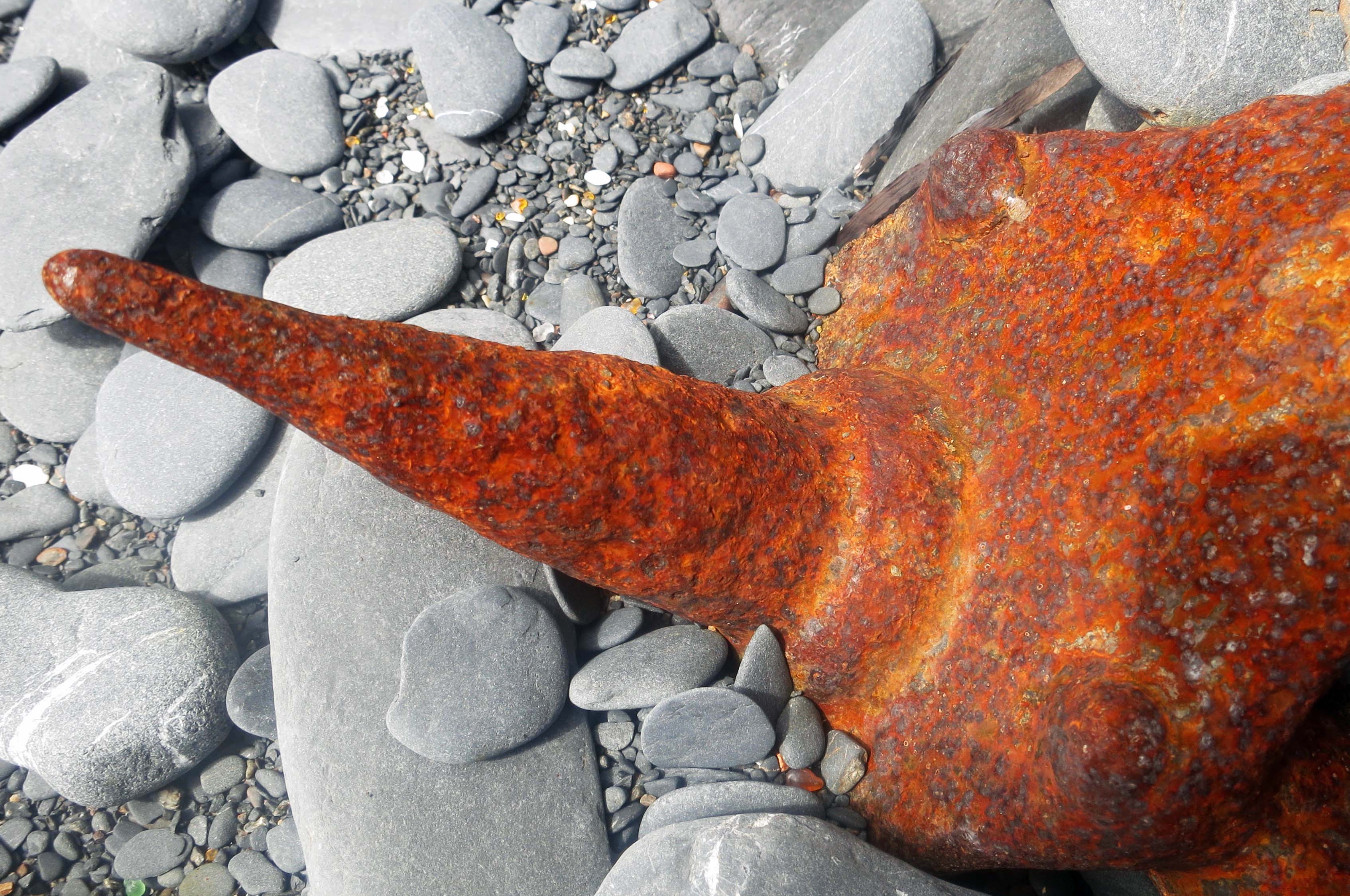 Thing-a-ma-bob found on Kodiak shore | Wandering through Time and Place