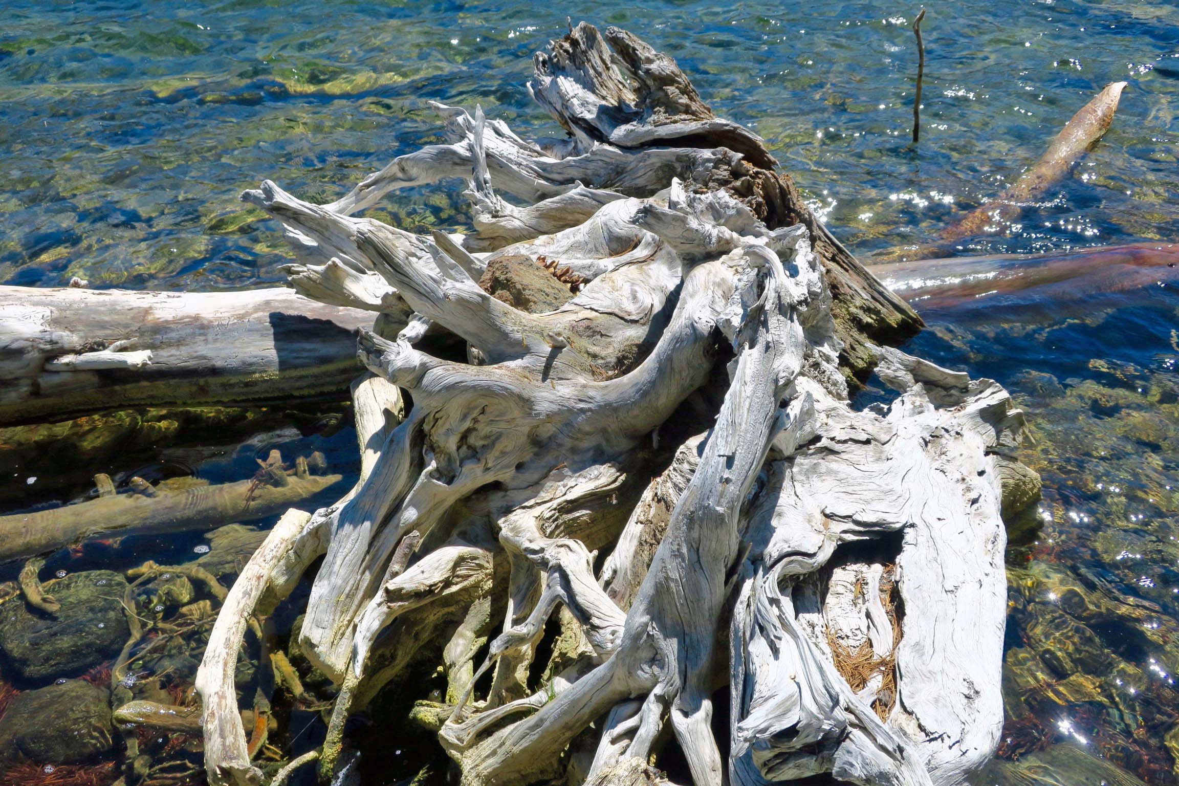 Wood sculpture on Deadfall Lake, Section P of the PCT | Wandering ...