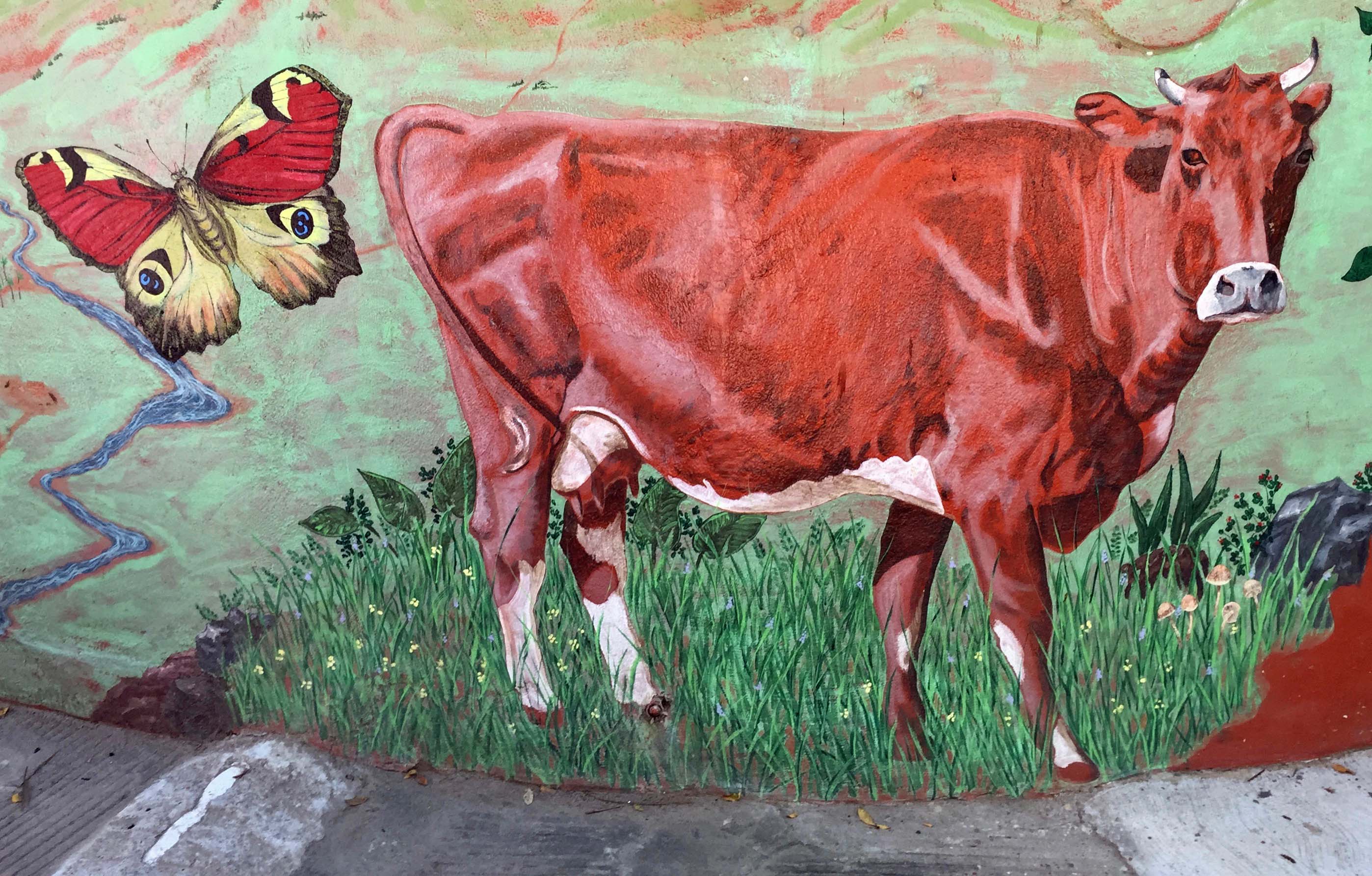 The Chalk Art and Murals of Puerto Vallarta 2018 | Wandering through ...