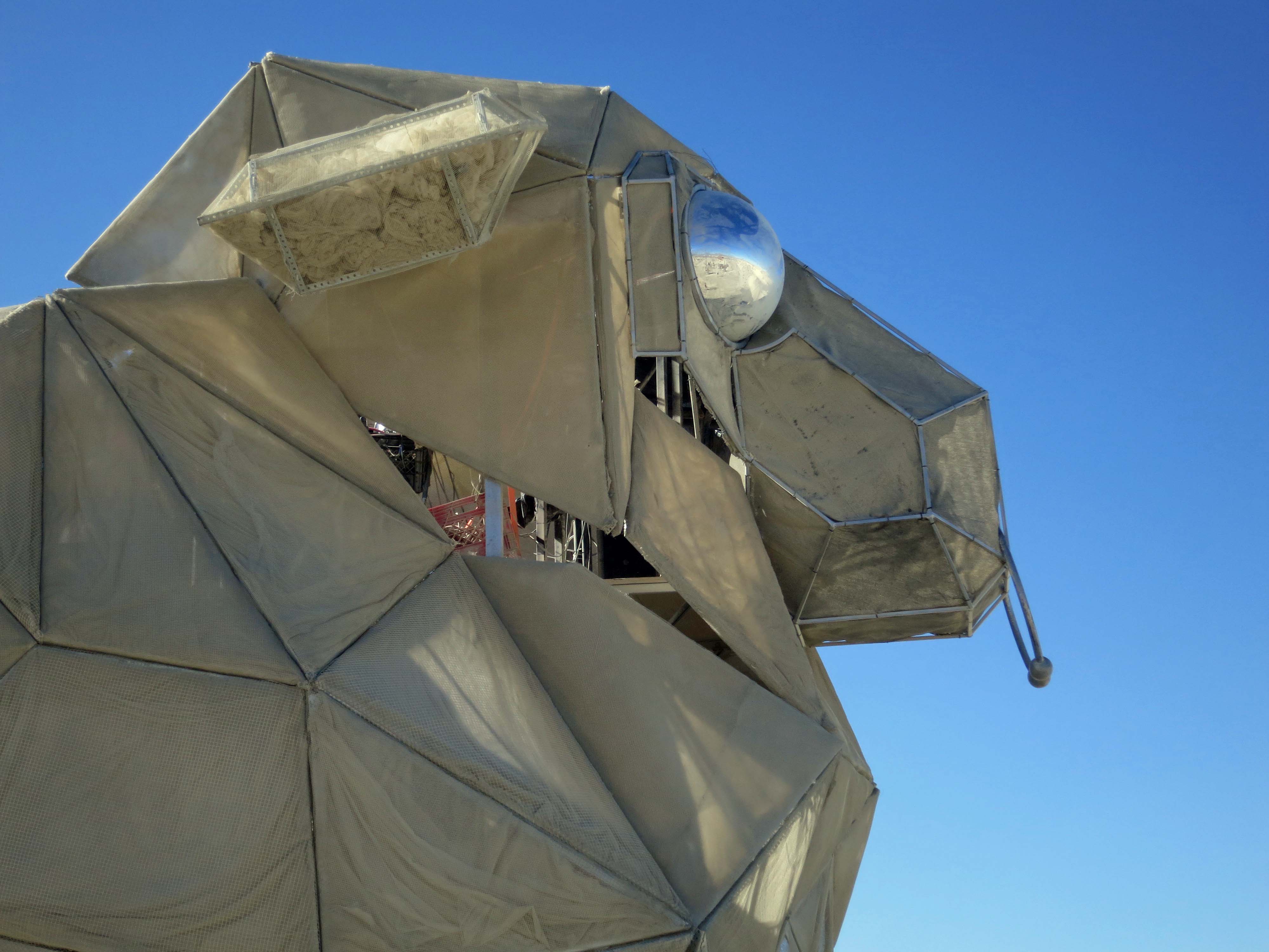 Gargantuan Animal Mutants… 11 Years of Burning Man | Wandering through ...