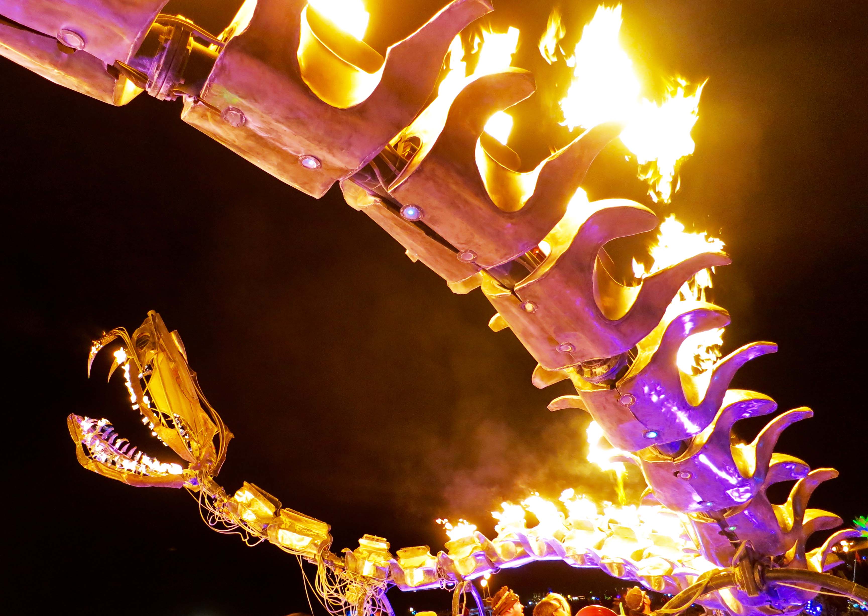 Will BLM Requirements Destroy Burning Man? Do They Mean to? | Wandering ...