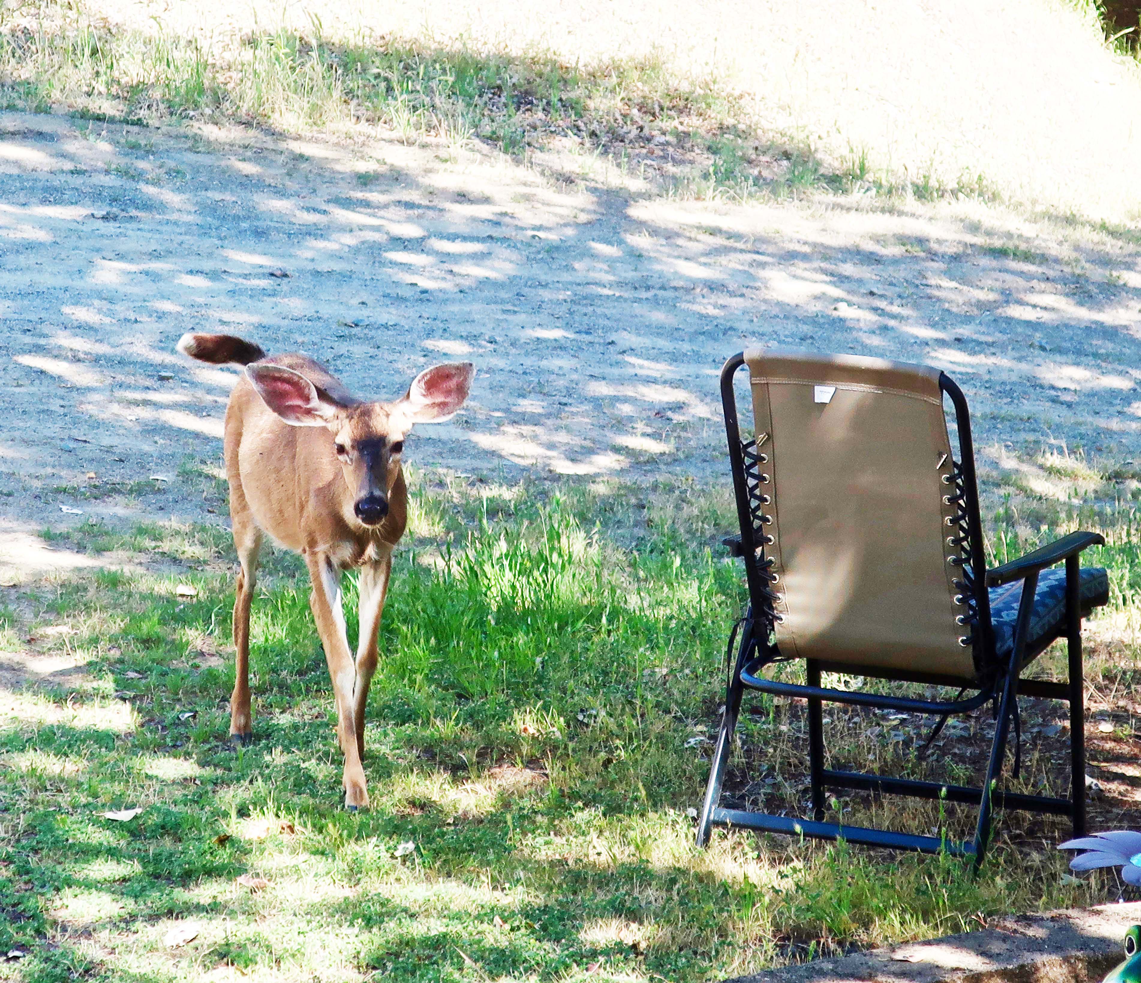 Goodbye, My Brother… A Death with Dignity | Wandering through Time and ...