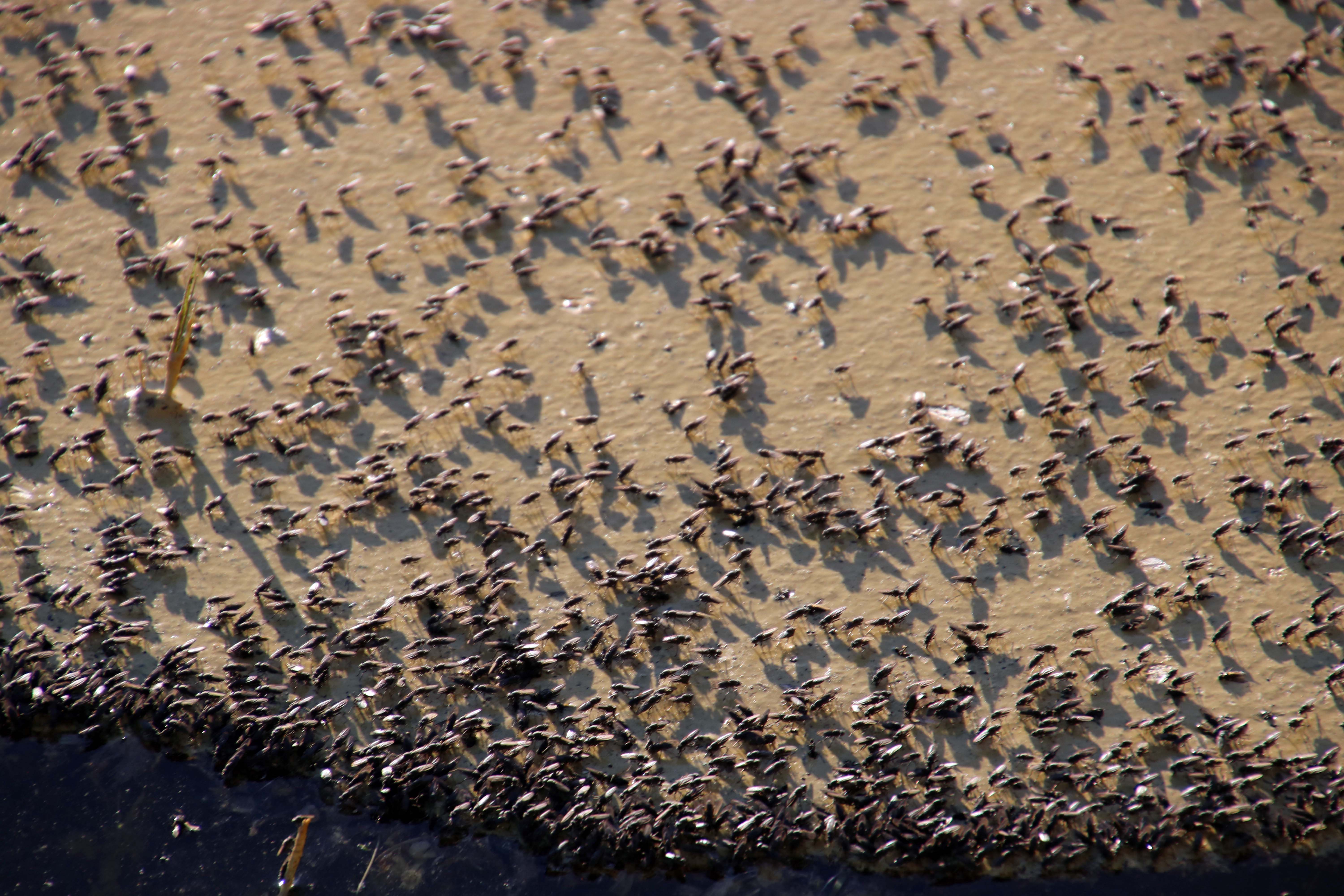 The Magnificent Tufa Towers of Mono Lake… The Highway 395 Series ...