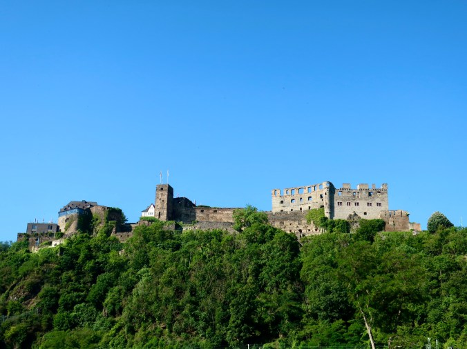 12 Magnificent Castles along the Rhine River Valley | Wandering through ...
