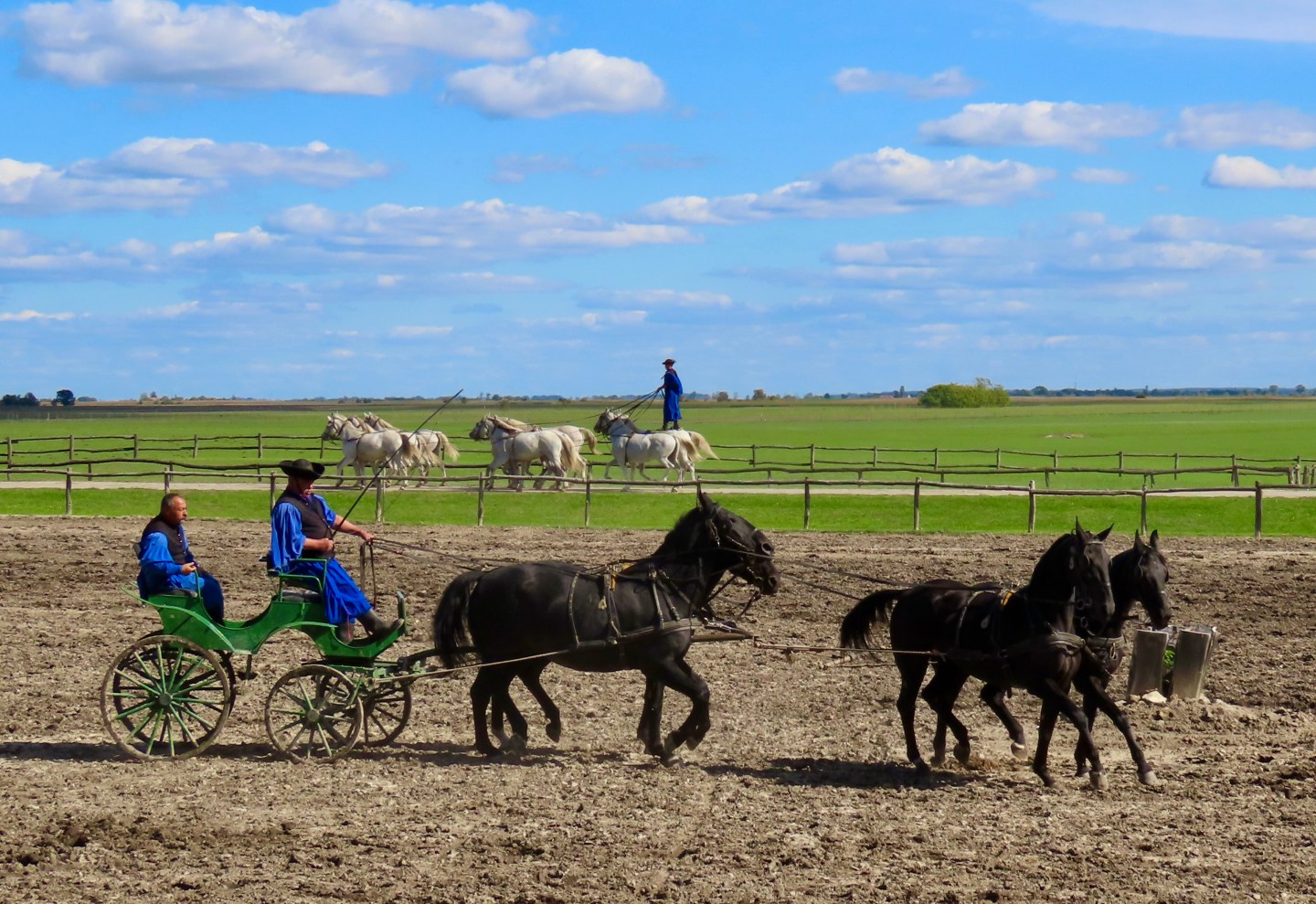 The Csikos and the Puszta: The Horsemen of the Hungarian Plains ( and ...