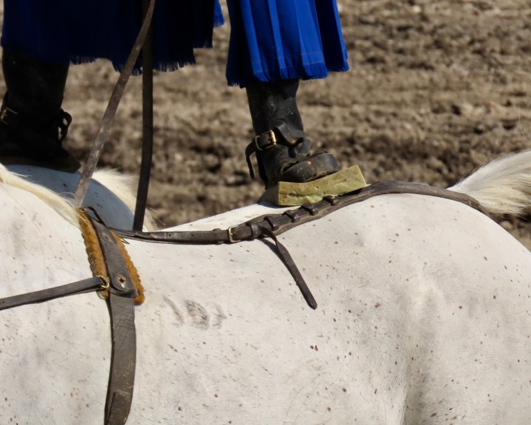 The Csikos and the Puszta: The Horsemen of the Hungarian Plains ( and ...