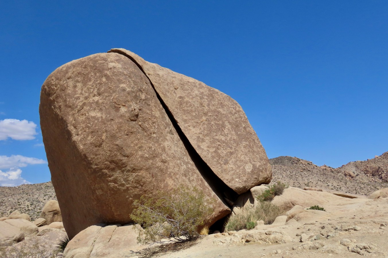 Weird Trees and Gorgeous Rocks… Joshua Tree National Park | Wandering ...