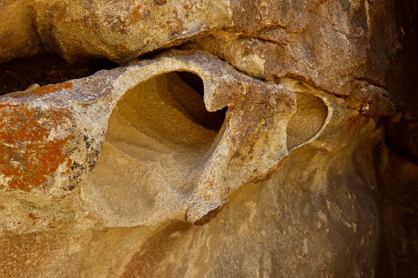 Weird Trees and Gorgeous Rocks… Joshua Tree National Park | Wandering ...
