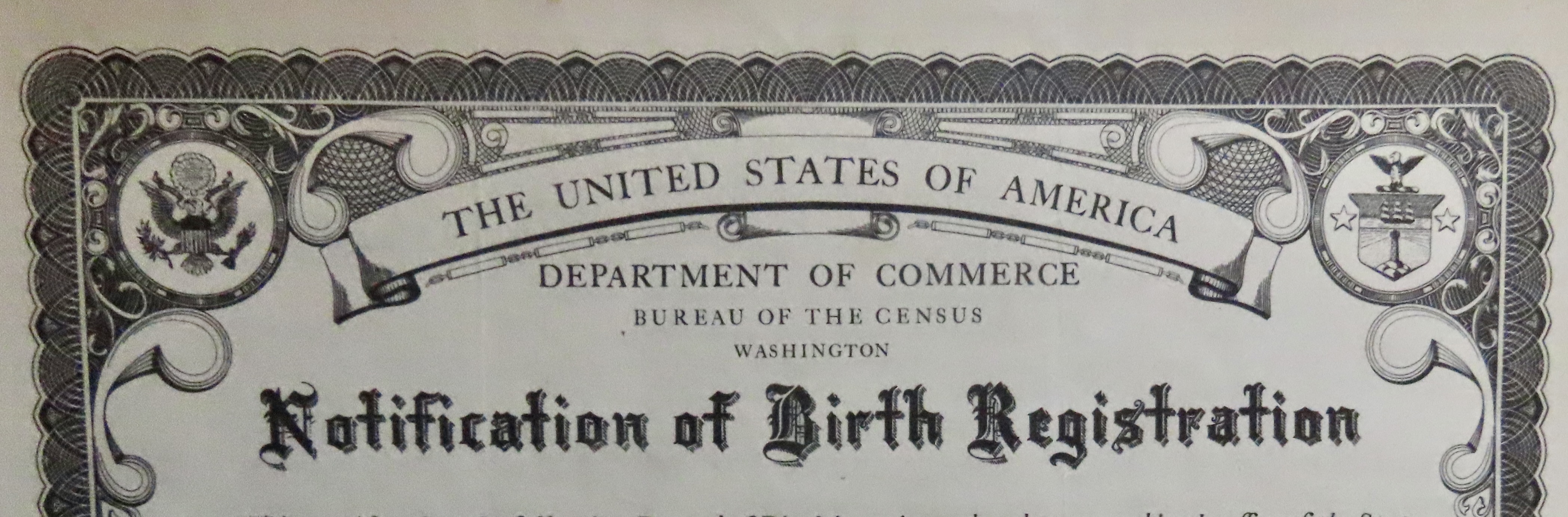 UT-OH Book I… Growing Up in a Graveyard | Wandering through Time and Place