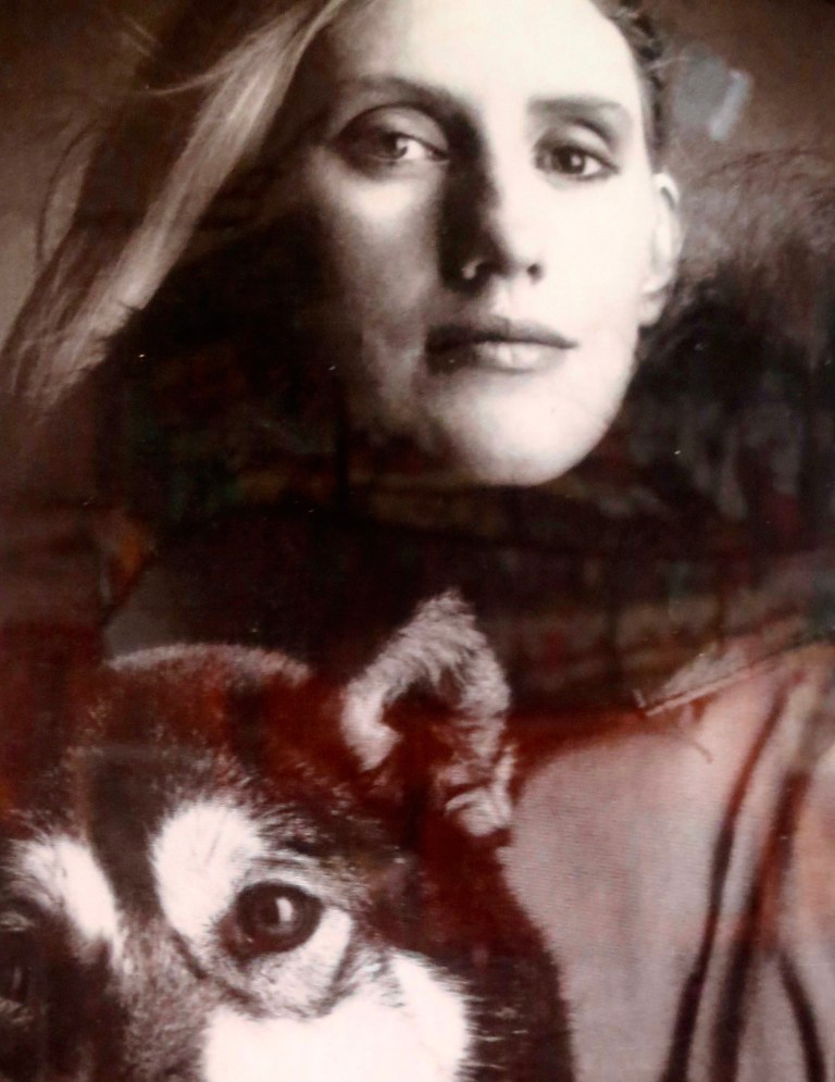 Step Aside Cats, We Have Puppy Eyes: A Look at Dogs… The Focus Series ...