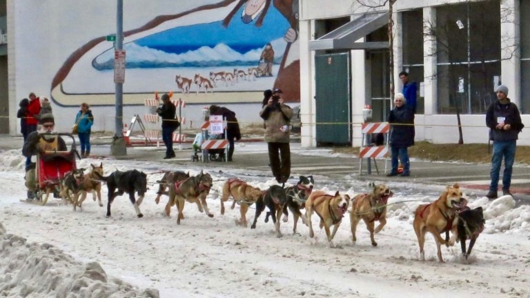 Dogs of the world | Wandering through Time and Place